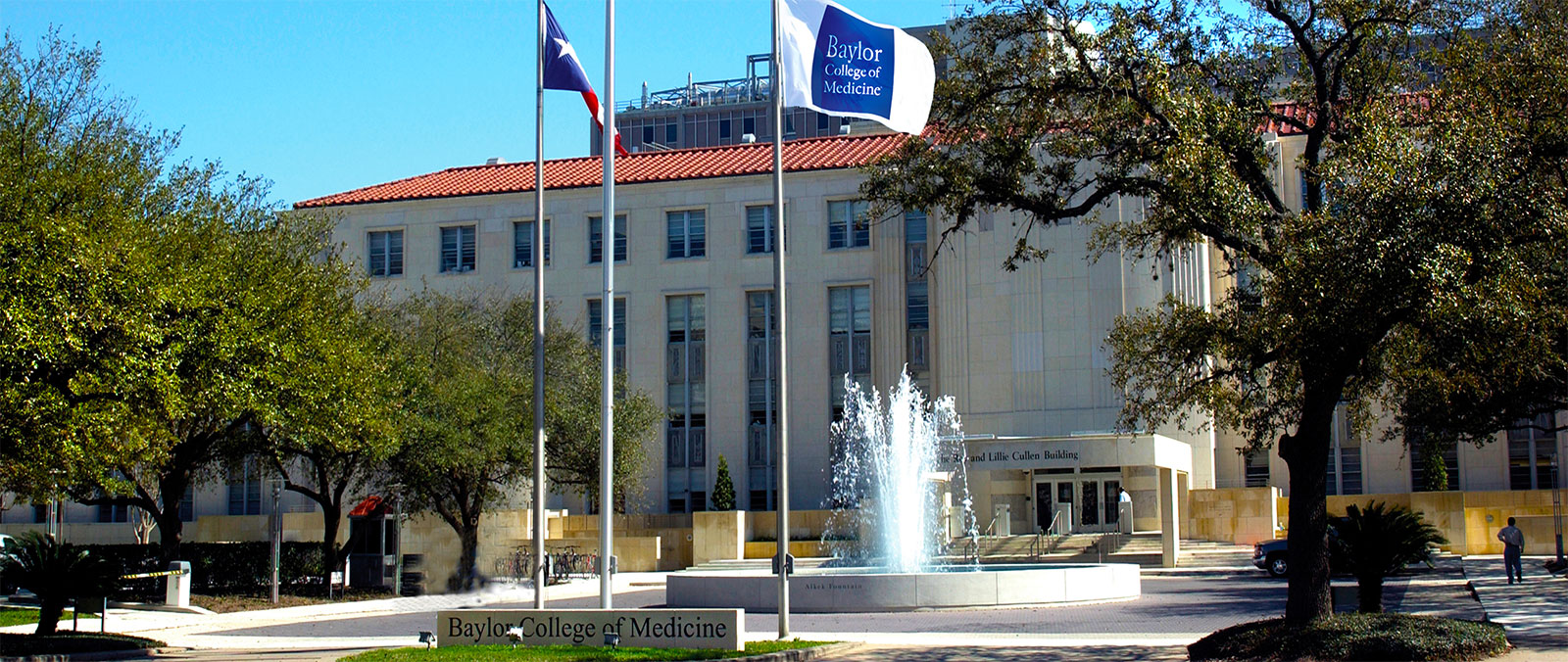 Baylor and TCH researchers honored with AACR Team Science Award ...