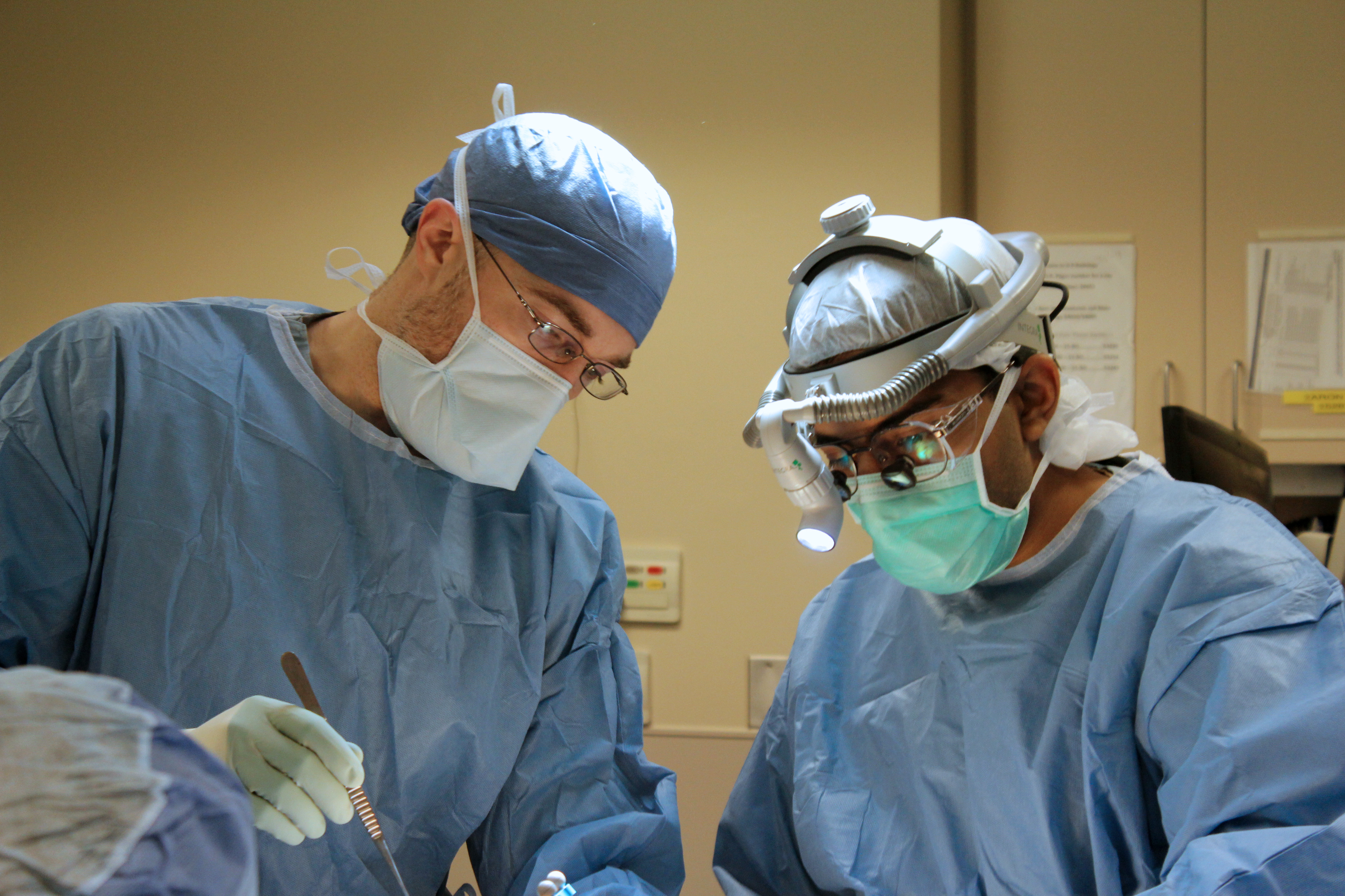 Dr. Hoffman Takes on New Positions at Ben Taub Hospital
